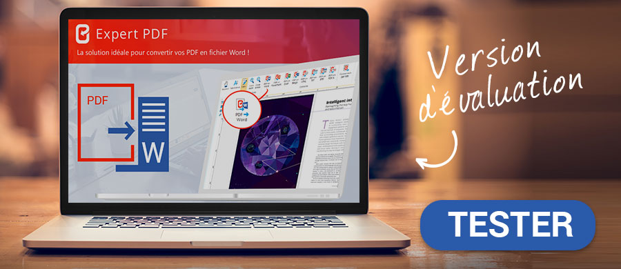 Expert Business Pack